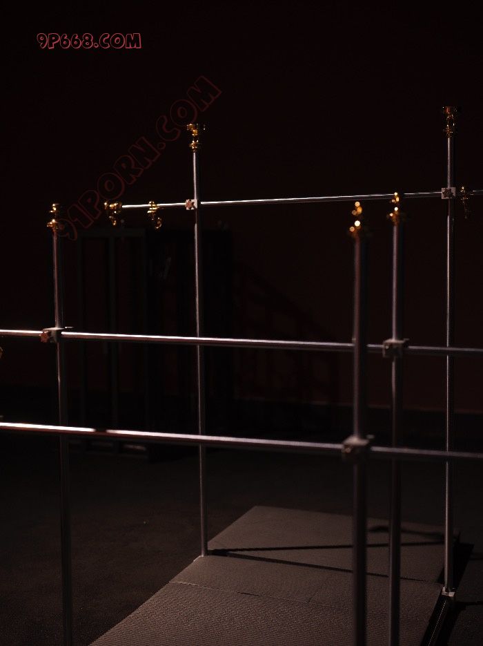 【SM】021 女大母狗 私房拍摄91自拍|91|91PORNY|九色